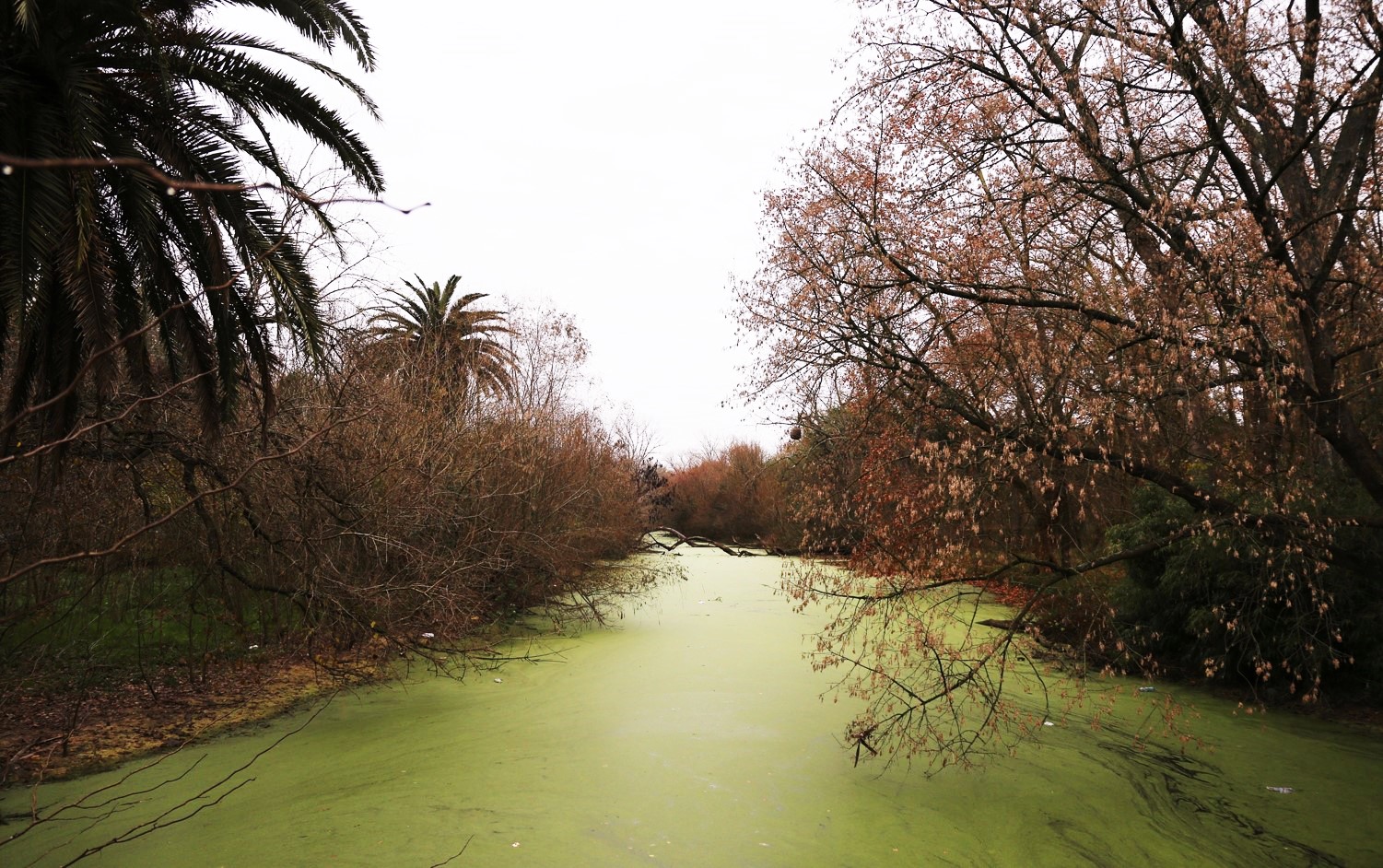 El parque Pereyra Iraola, una joya de Buenos Aires – Conexión Animal
